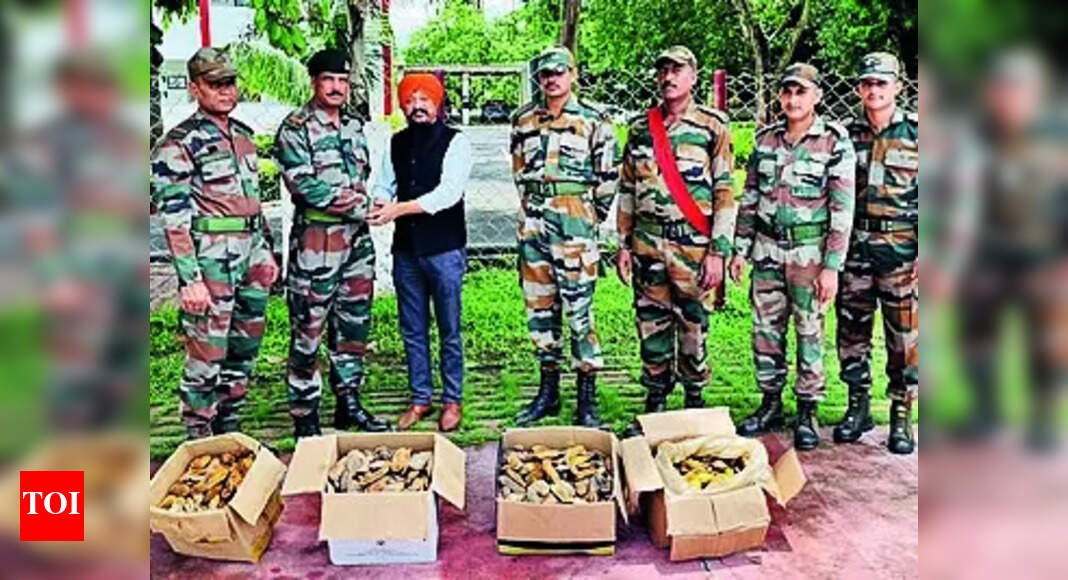 Mango Seed: Man on ‘Mission Mango’ reaches out to city schools to save ...