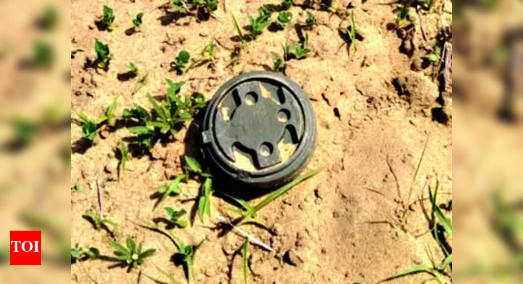 Landmine: Live Landmine Found in Jaisalmer | Jaipur News - Times of India
