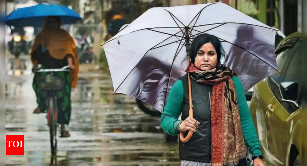Weak monsoon pushes July rain deficit to 44% in city, 38% in Haryana ...