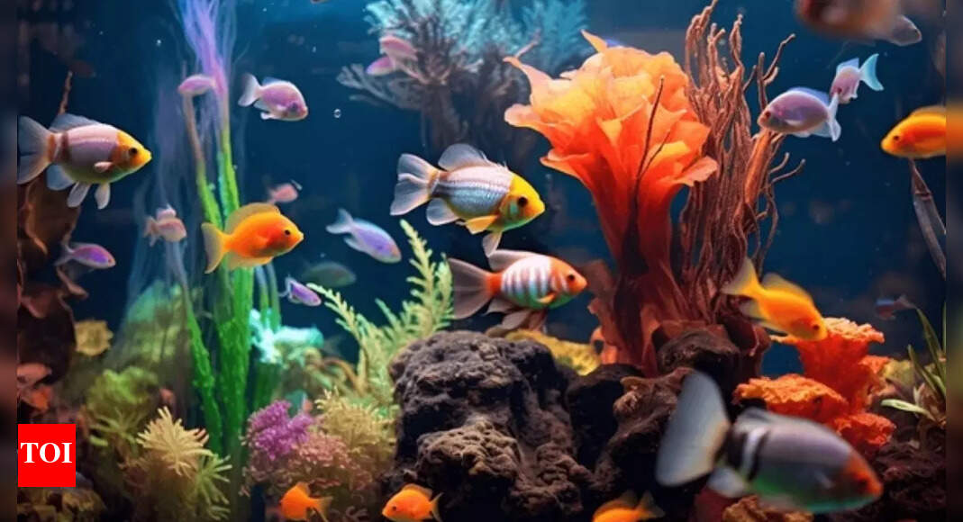 Benefits of keeping Fish tank at home: A guide to positive energy and ...