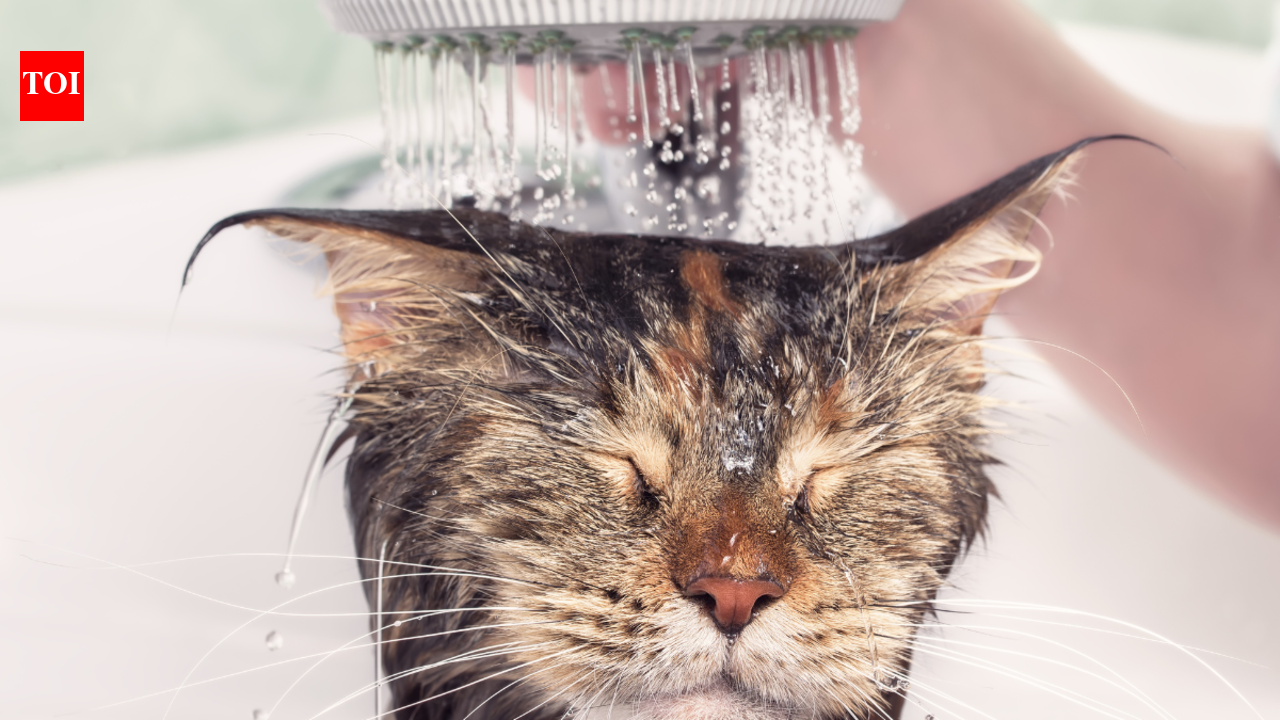 How daily bathing is not just for cleanliness, it is medicinal