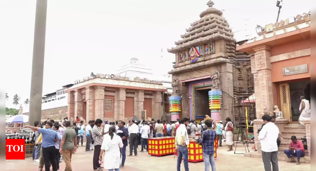 Non-destructive gadgets to verify claims of secret chambers in Ratna ...