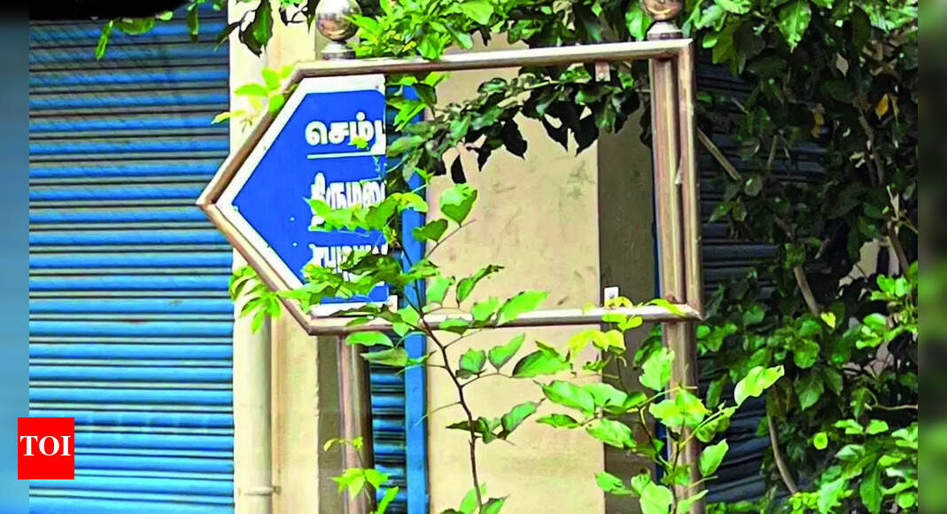 Street Signs: City's street signs errors spark social media outrage ...