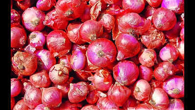 Onion Procurement: Nafed and NCCF Procure 5 Lakh Tonnes of Onions for Buffer Stock | Nashik News ...
