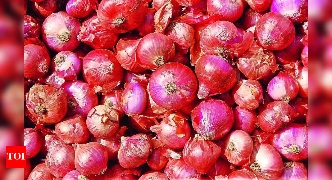 Onion Procurement: Nafed and NCCF Procure 5 Lakh Tonnes of Onions for Buffer Stock | Nashik News ...