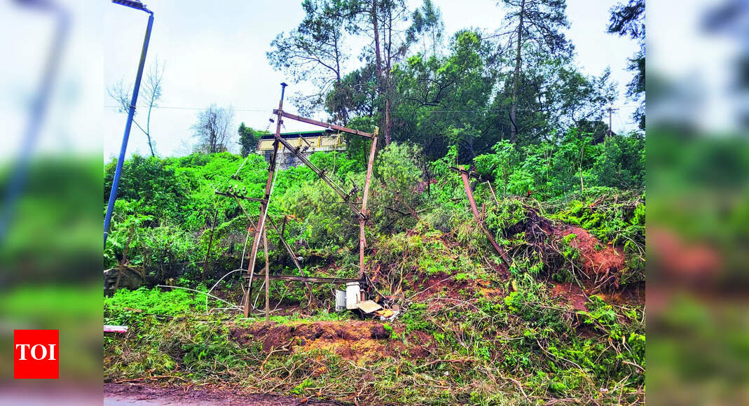 Electric Poles: Over 650 EB poles damaged in Nilgiris in two weeks of ...