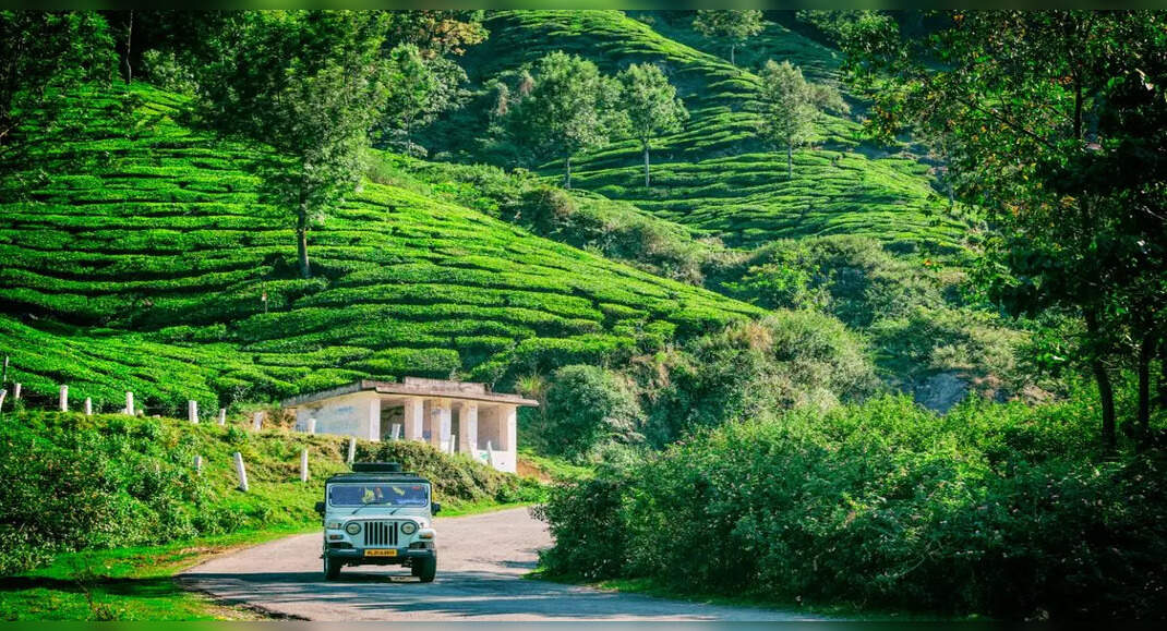 India’s 7 greenest tea garden destinations for a rejuvenating escape ...