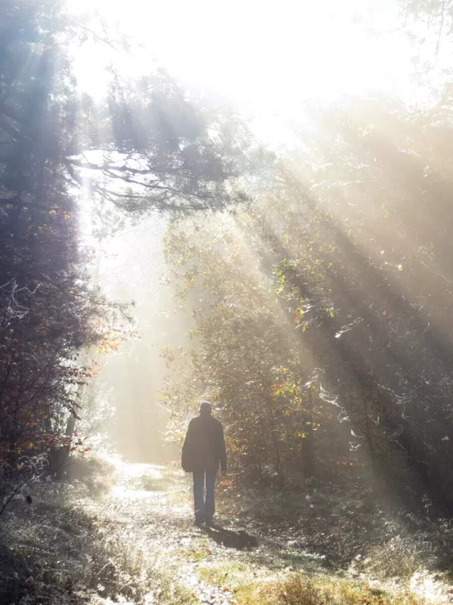 Quotes for August: Words of Motivation to Reignite Your Inner Fire ...