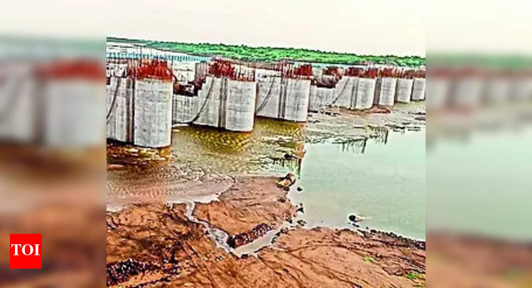 Forest ministry approves land for Lower Tapi Irrigation project in ...