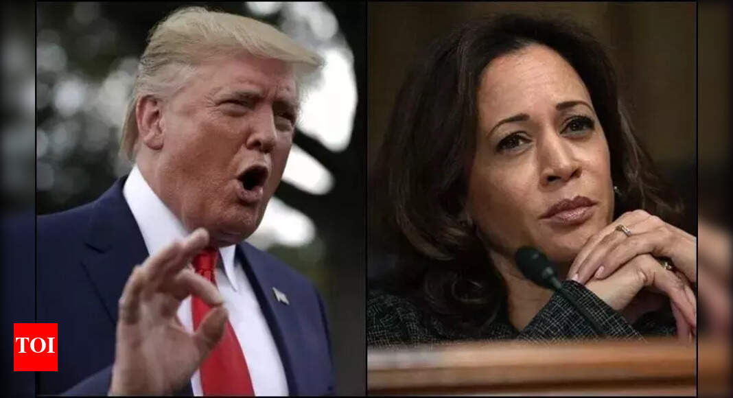 'Fake, fake, fake': Why Donald Trump called Kamala Harris Democratic ...