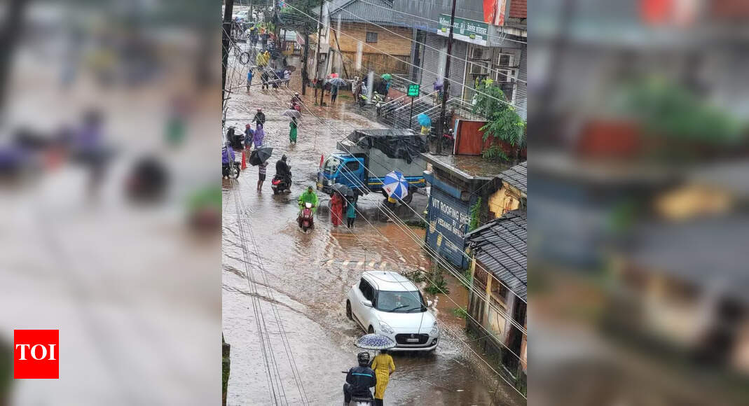 WRD engineers deployed to address flooding: Shirodkar | Goa News ...