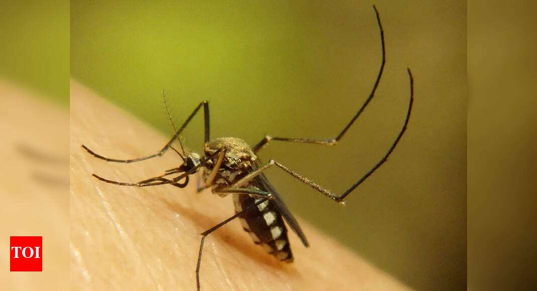 Malaria: Man with Malaria Dies at Government Hospital in Kolkata ...
