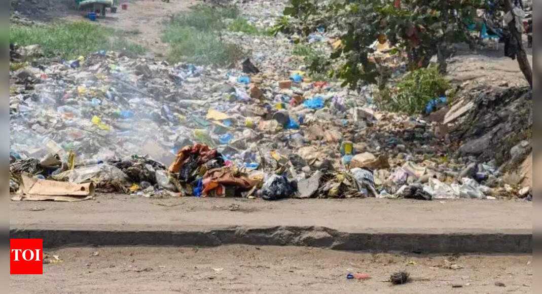 710 fined Rs 4 lakh in a month for illegal dumping of garbage in ...