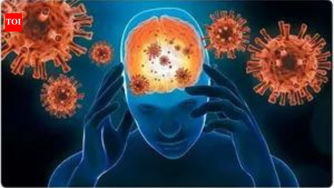 Ahmedabad battles Chandipura Virus: Fumigation and public health ...