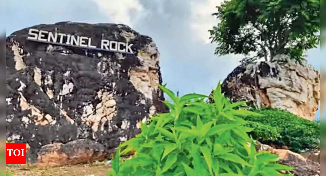 Kerala disaster: DTPC had plans to develop Mundakkai as tourism destination | Kochi News - Times ...