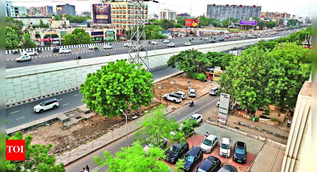 TP Scheme 204: 1L sq m plot earmarked for mega sports infrastructure in ...