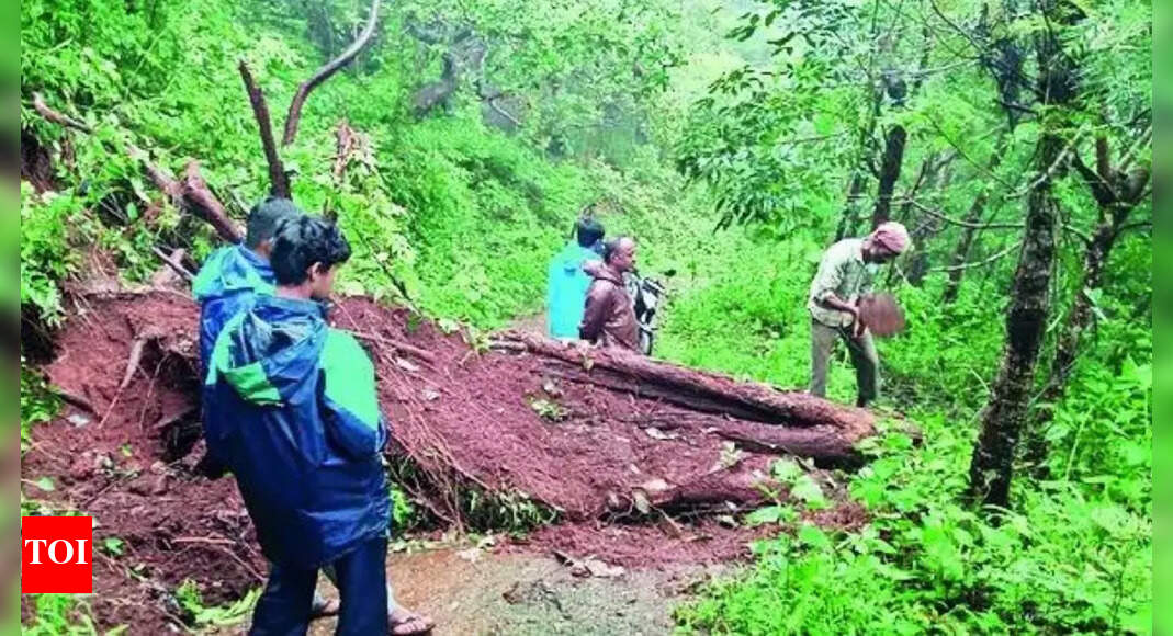 Survey: 104 Kodagu areas prone to floods, 2,995 families at risk ...