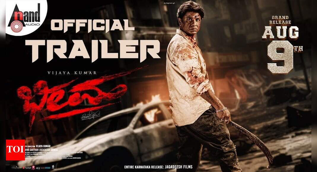 Bheema Movie Review: Bheema review: A ‘pakka local’ movie tailor-made ...