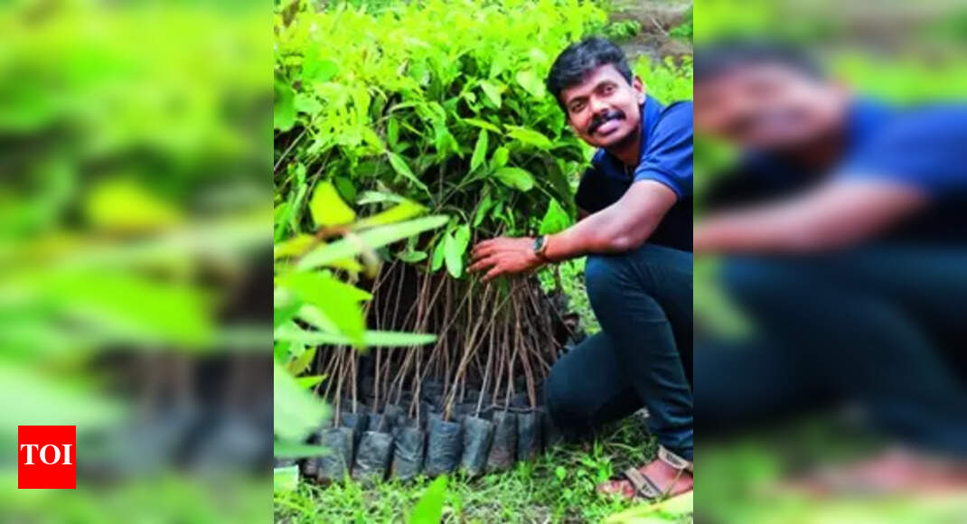Madurai: Green guardian of Madurai plants 83,000 trees in 12 years ...