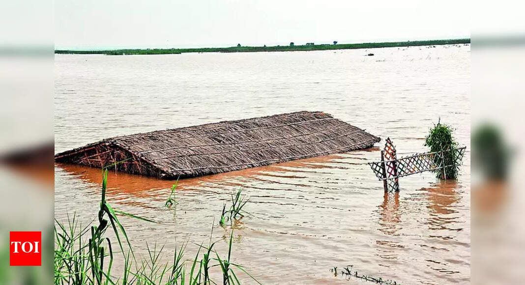 Floods: Sone River Floods Rohtas District | Patna News - Times of India