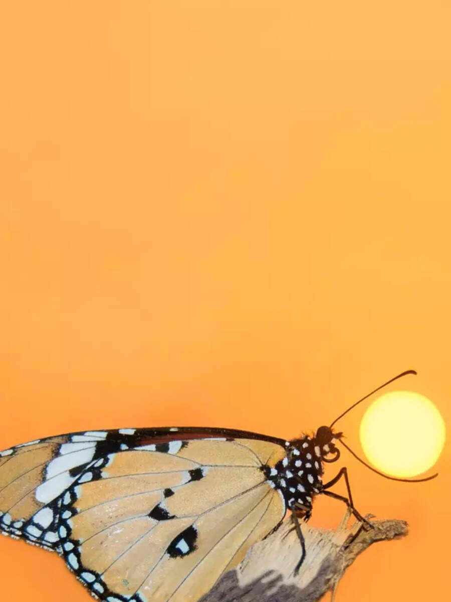 5 Brilliant Quotes for Lasting Mid-Week Motivation | Times Now