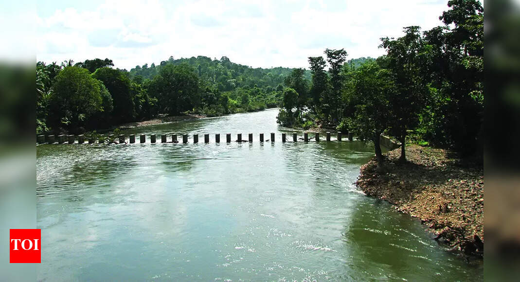 Desilting of Mhadei and Valvonti rivers to be considered after survey ...