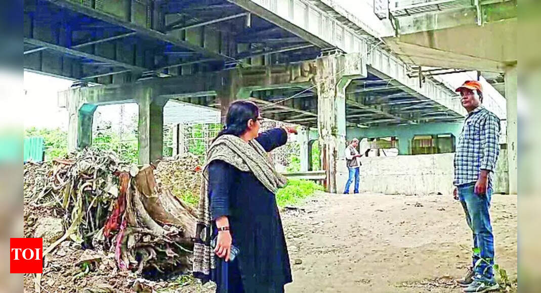 Bridge: Cracks and Leaks in Shastri Bridge Structure Flagged | Vadodara ...