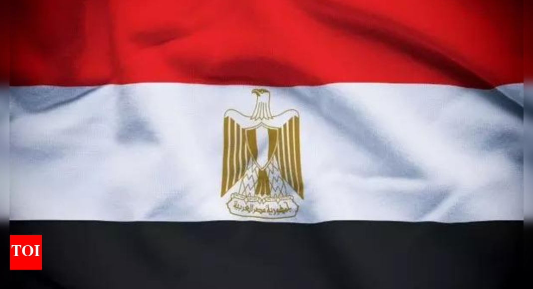 Egyptian President Abdel Fattah El-Sisi: Egyptian and Jordanian leaders ...