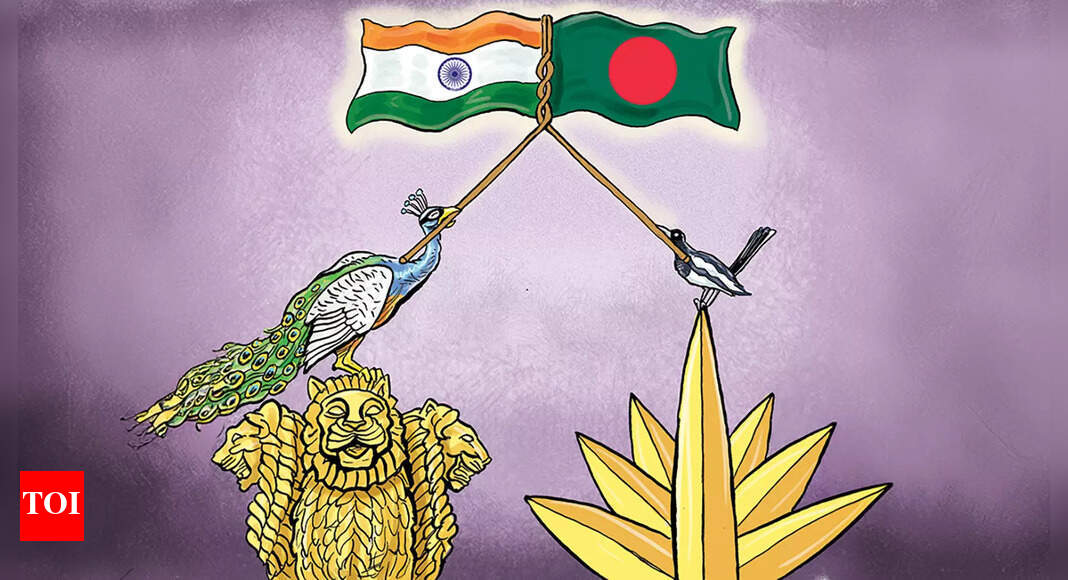The fall of Hasina: Key challenges and the road ahead for India | India ...