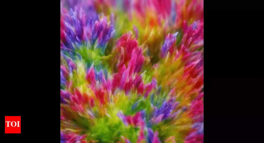 Discover Your Ishta Devta by Your Date of Birth: A Divine Connection ...