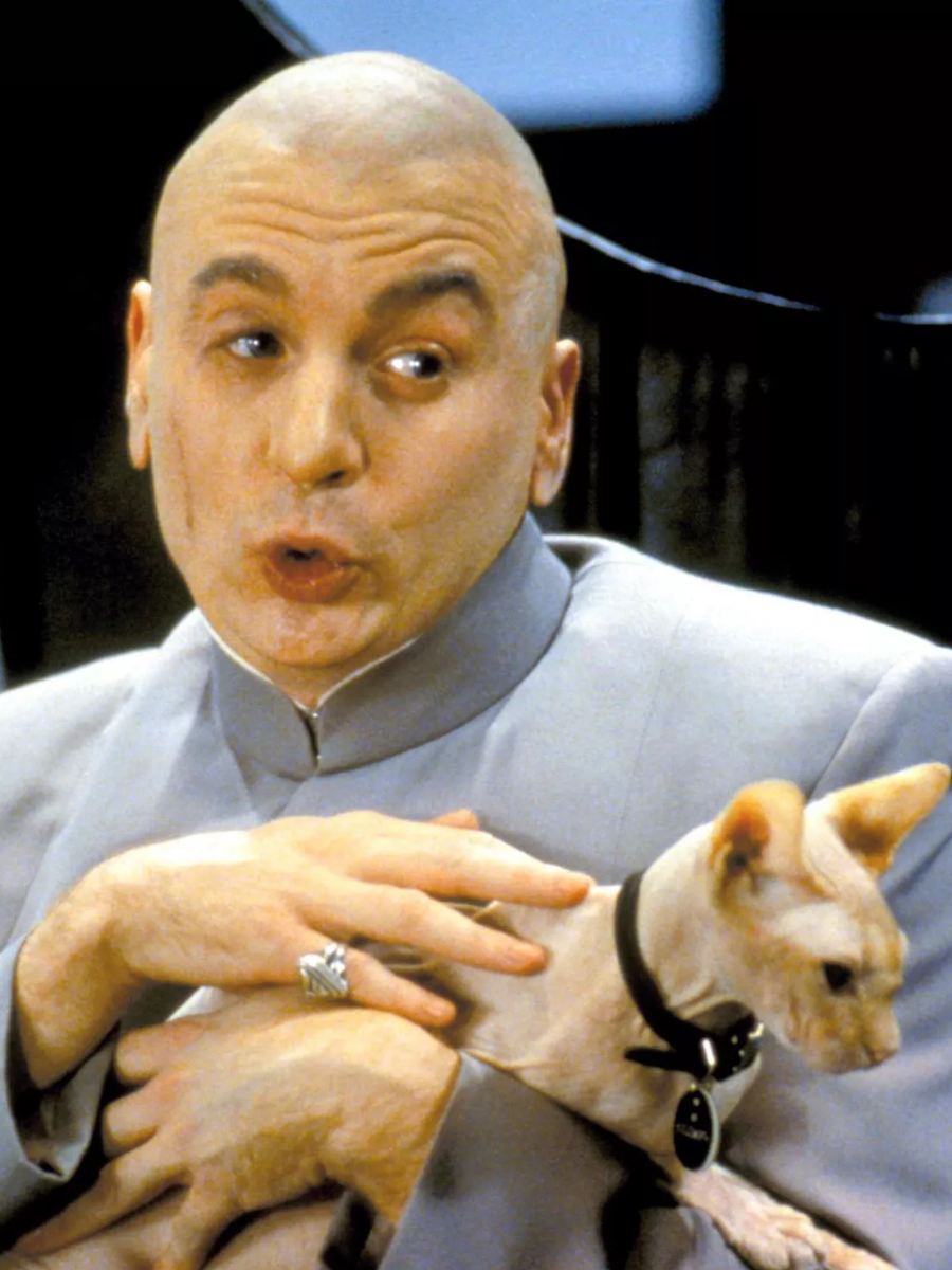 9 Most Iconic Cats In Cinema: Mr Bigglesworth In Austin Powers To ...