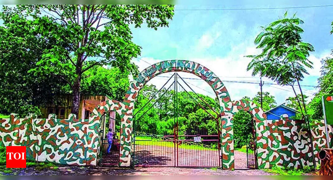 Chausingha: Chausingha hunted at Vansda National Park | Surat News ...