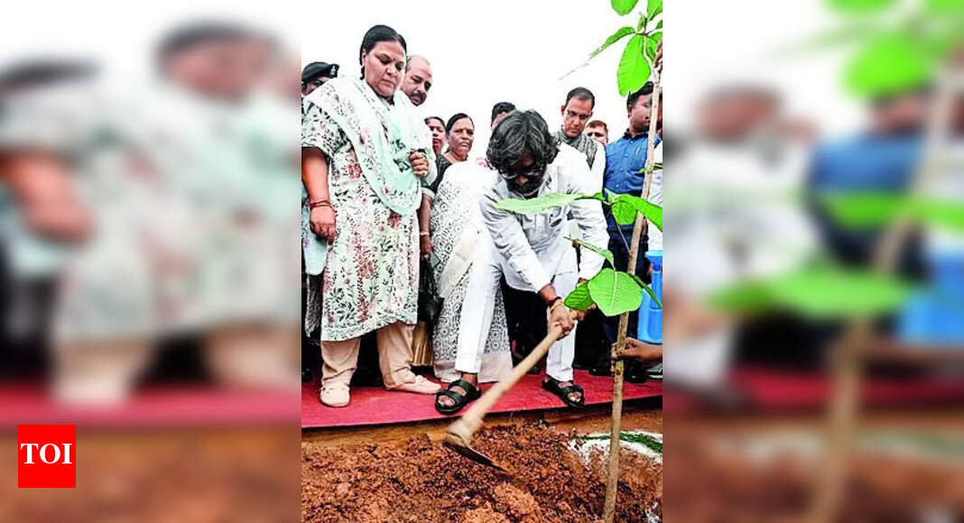 Every household must plant one tree: CM | Ranchi News - Times of India