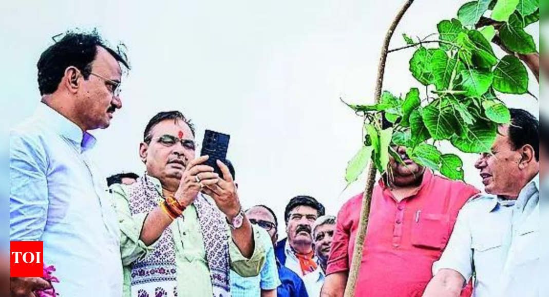 MAA Voucher Scheme: CM to launch MAA voucher scheme today | Jaipur News ...