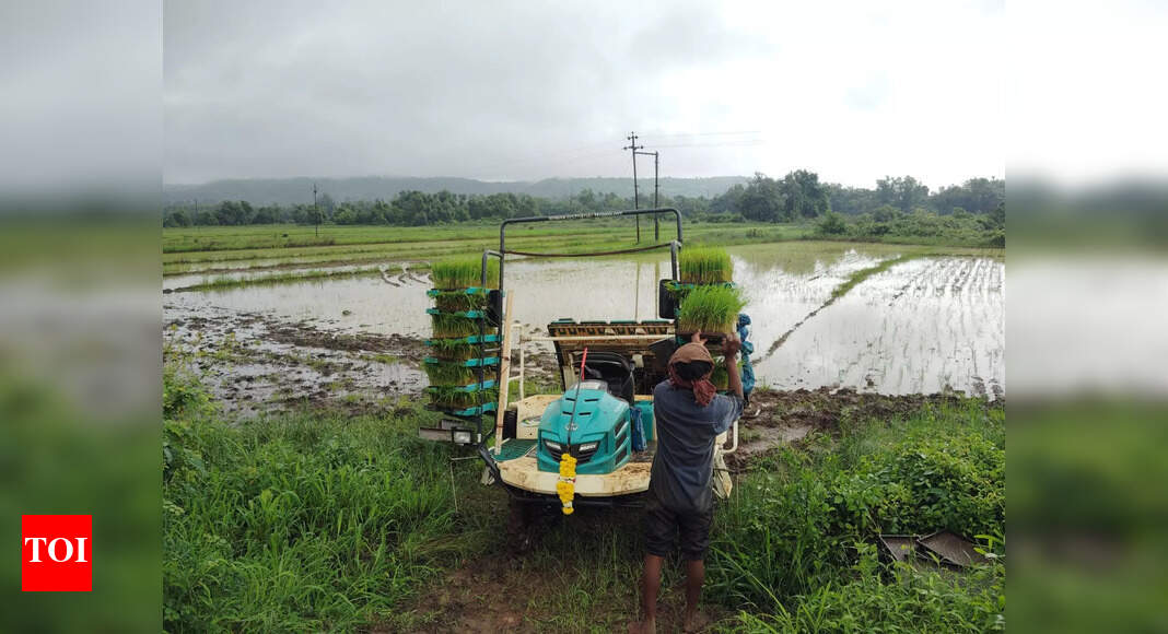 Shirgao receives first-ever mechanical paddy transplant, 6 hectares of ...