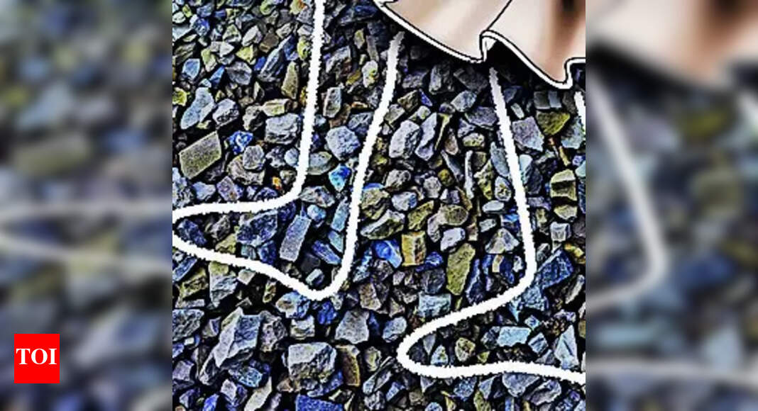 25-Year-Old Woman: 25-year-old woman’s body exhumed, hubby detained | Jaipur News - Times of India