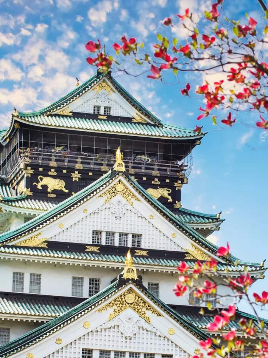 A First Timer’s Guide To Osaka’s Best Experiences | Times Now