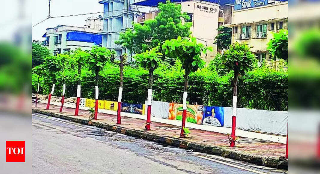 Almond Trees: Activist raises alarm over illegal hacking of 30 almond ...