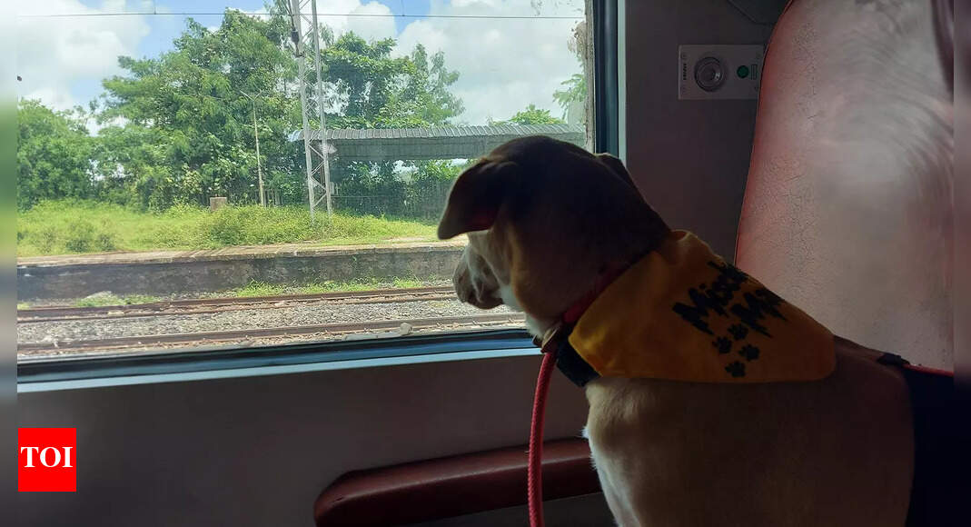 No ruffing it! How AC first class became the ‘kutton ka dabba’ | India ...