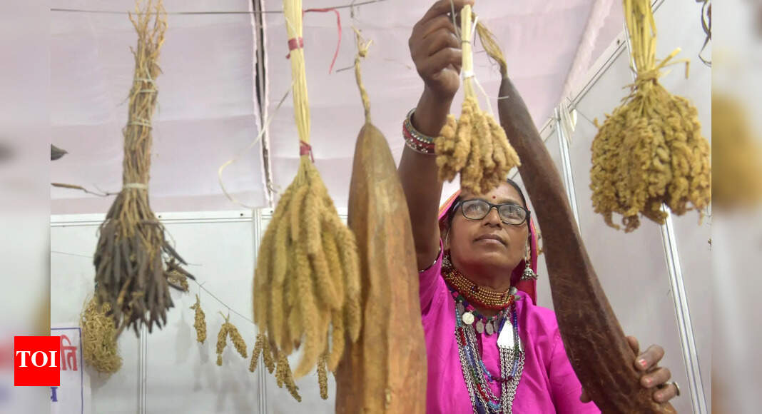 Millets: Punjab's Millet Cultivation Challenges | Chandigarh News ...