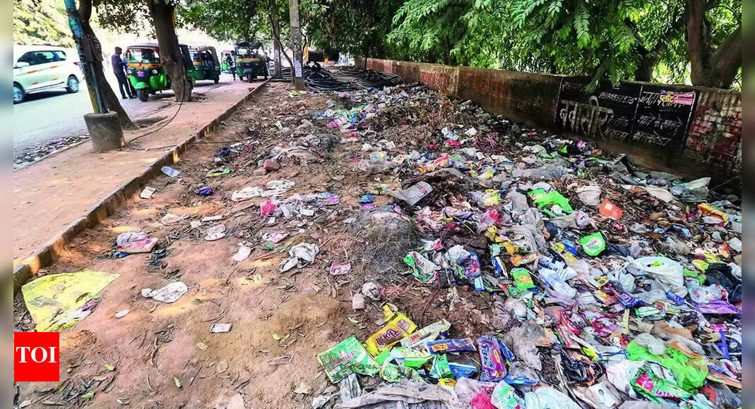 No end to garbage problem, now green belt a dumpyard in Gurgaon ...