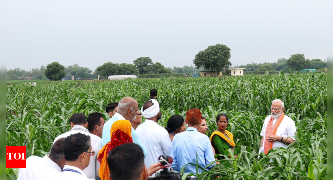 PM Modi unveils 109 new crop varieties to combat climate change | India ...