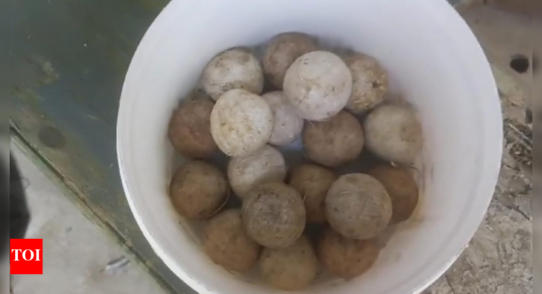 Police seize 26 crude bombs in Chandragiri, two arrested | Amaravati ...