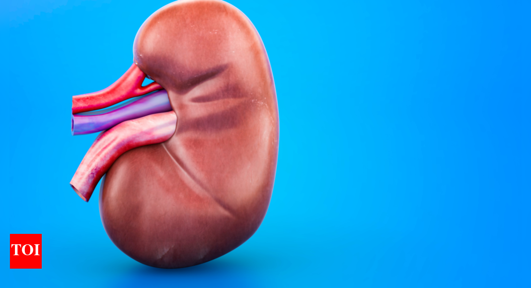 How long can you survive with one kidney? Debunking 8 common myths ...