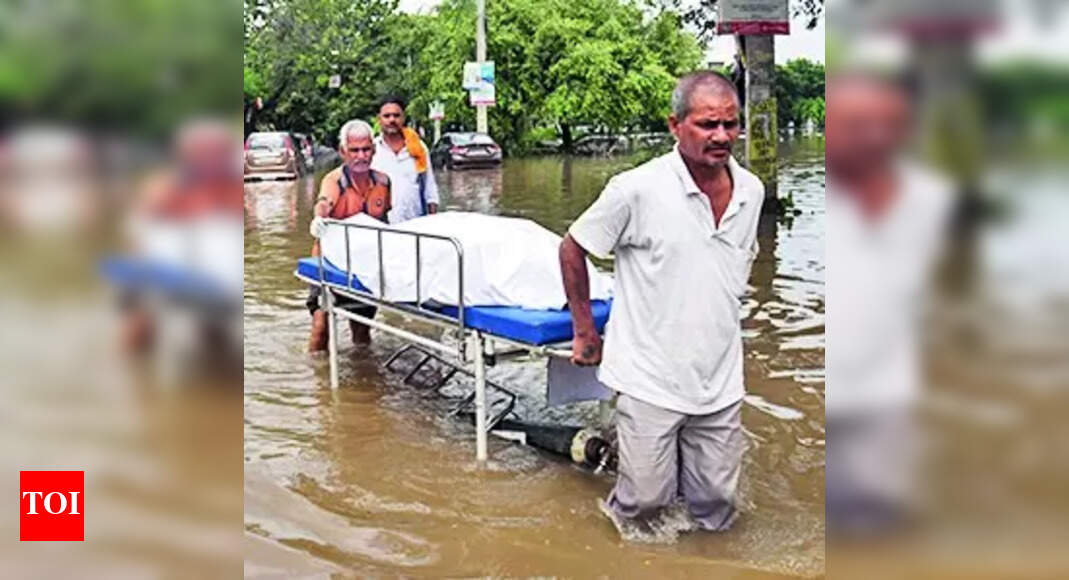 Rain Fury: Rain Fury Claims 30 Lives in 4 Northern States; 5 Missing ...