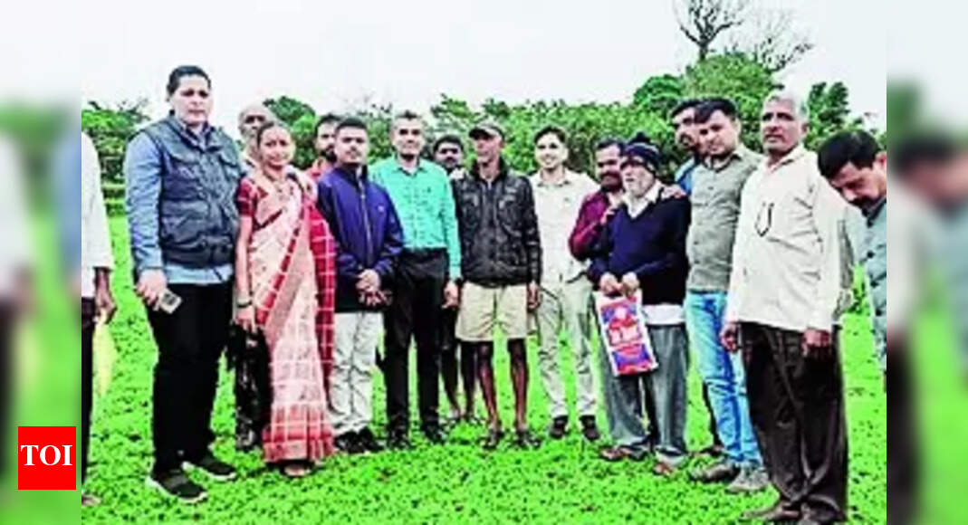 Forest Villagers: Initiative launched to persuade forest villagers to ...