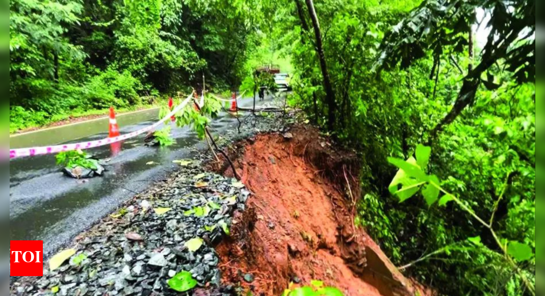 Heavy rain triggered recent landslides in Goa: Govt report | Goa News ...