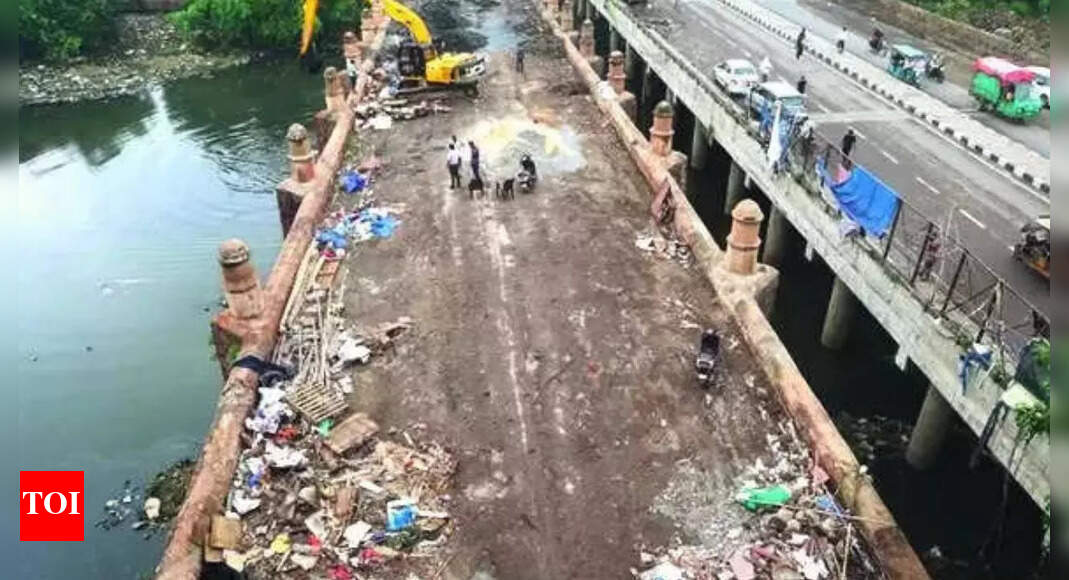 Barapullah Bridge: ASI to Restore 400-Year-Old Barapullah Bridge in New ...