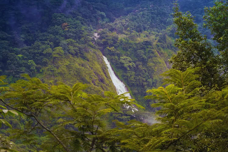 World's 8 ‘hottest hotspots’ of biological diversity; India on the list ...