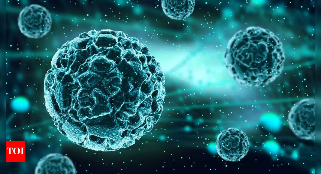 MP: Sample of man suspected to be infected by Chandipura virus sent for ...